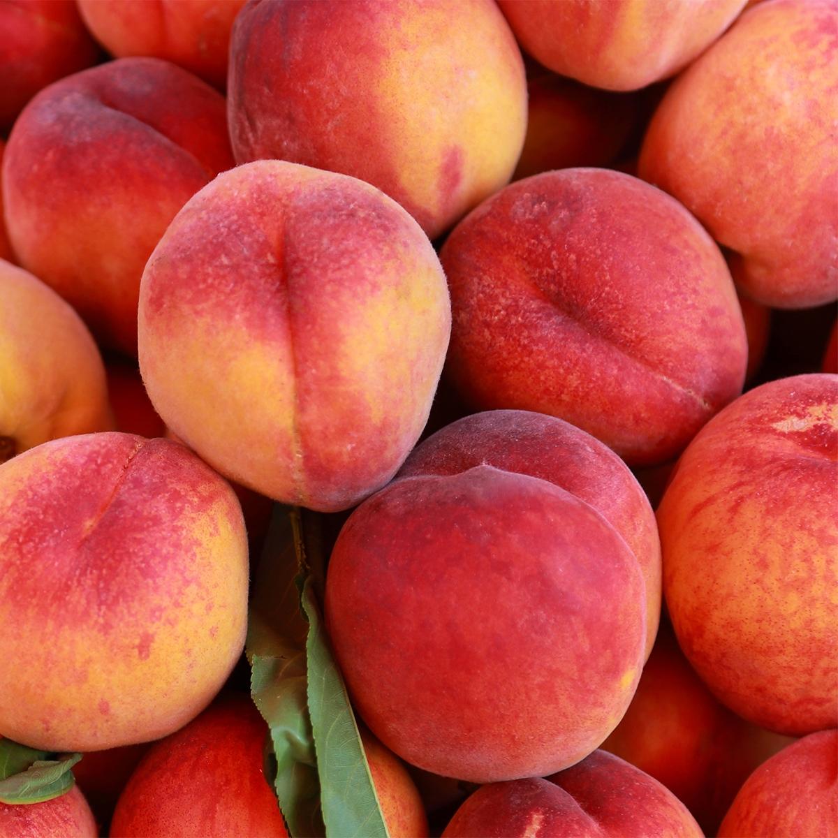 Pêcher nain Fruit Me Peach Me Red - Pêches rouges à chair jaune - Idéal ...