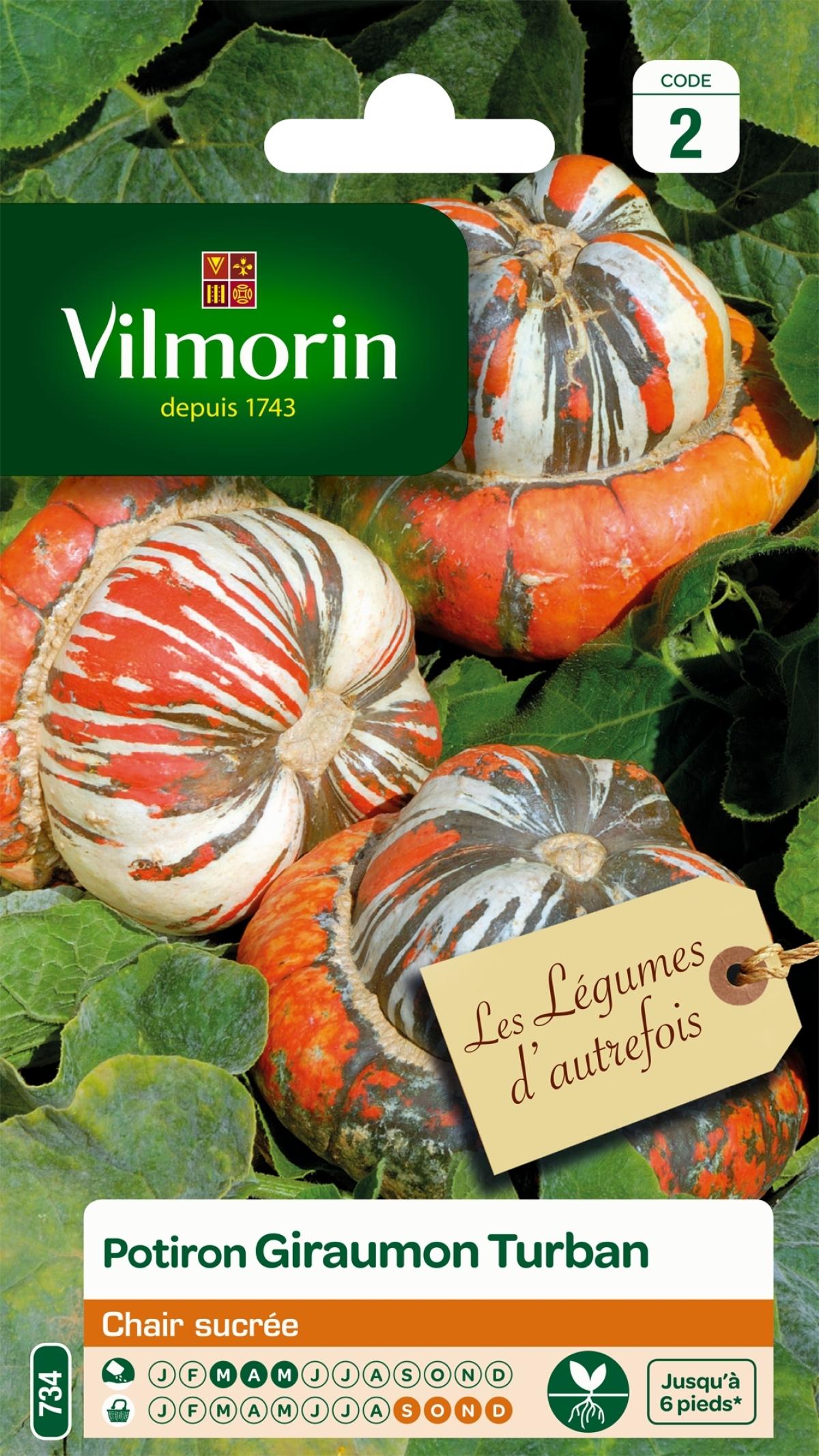 Potiron Giraumon Turban Turc - Graines de courge Vilmorin