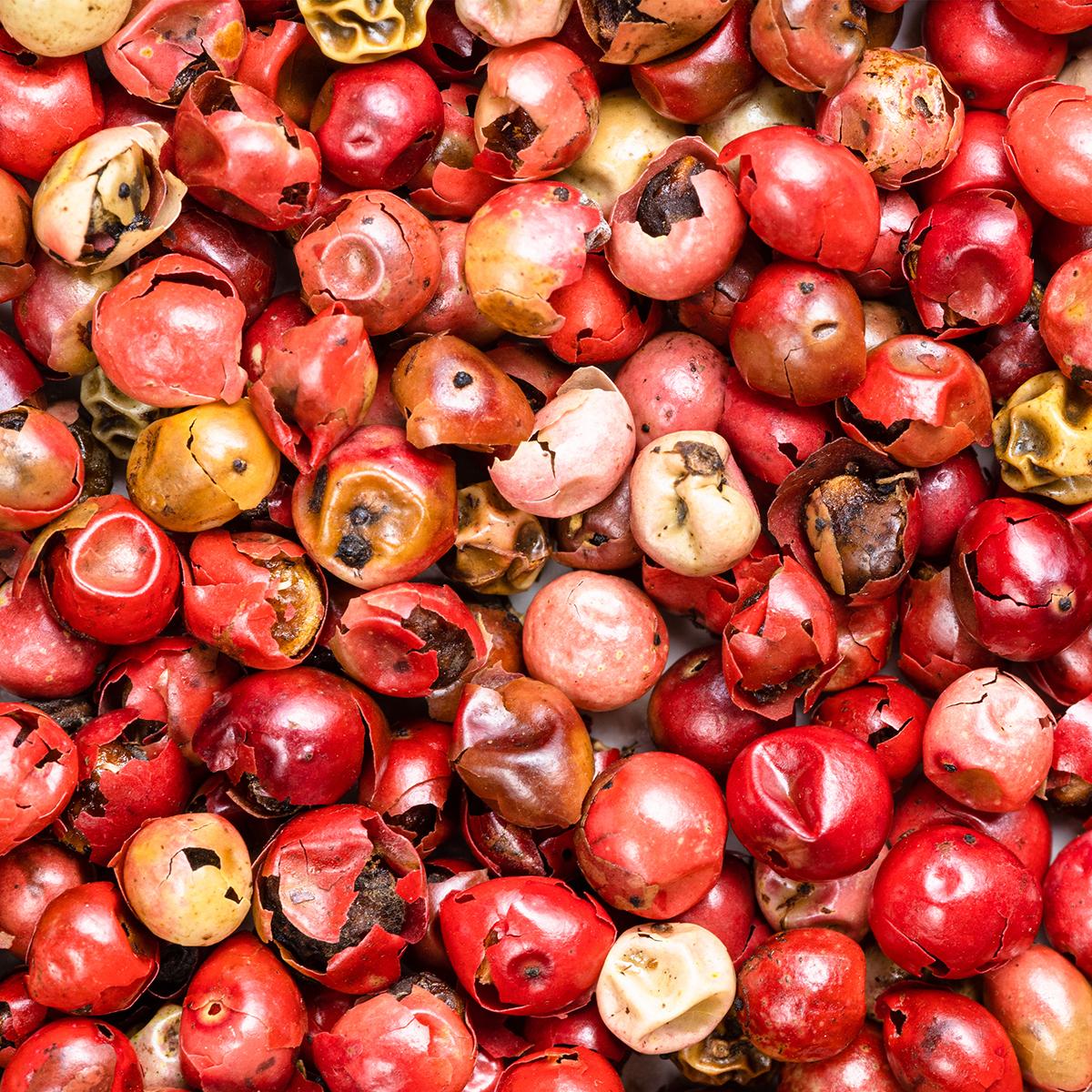 Schinus molle - Faux-poivrier, petit arbre à feuillage et fruits décoratifs