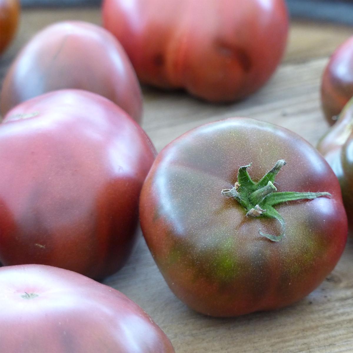 Tomate Noire de Crimée - Plants potagers - Variété ancienne à gros ...