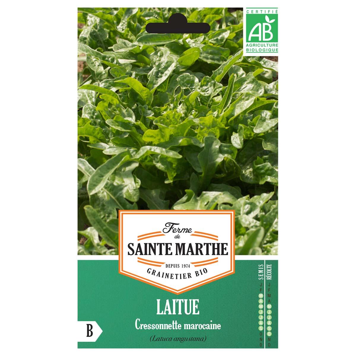 Laitue Cressonnette Marocaine - Graines Bio - Ferme de Sainte Marthe