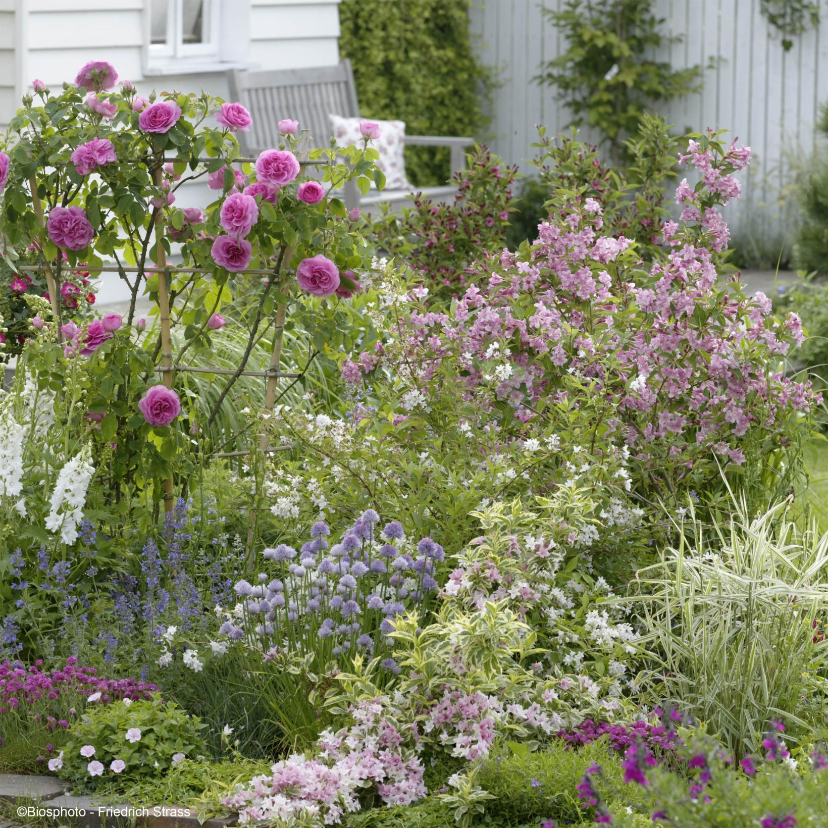 Collection de végétaux pour un massif romantique