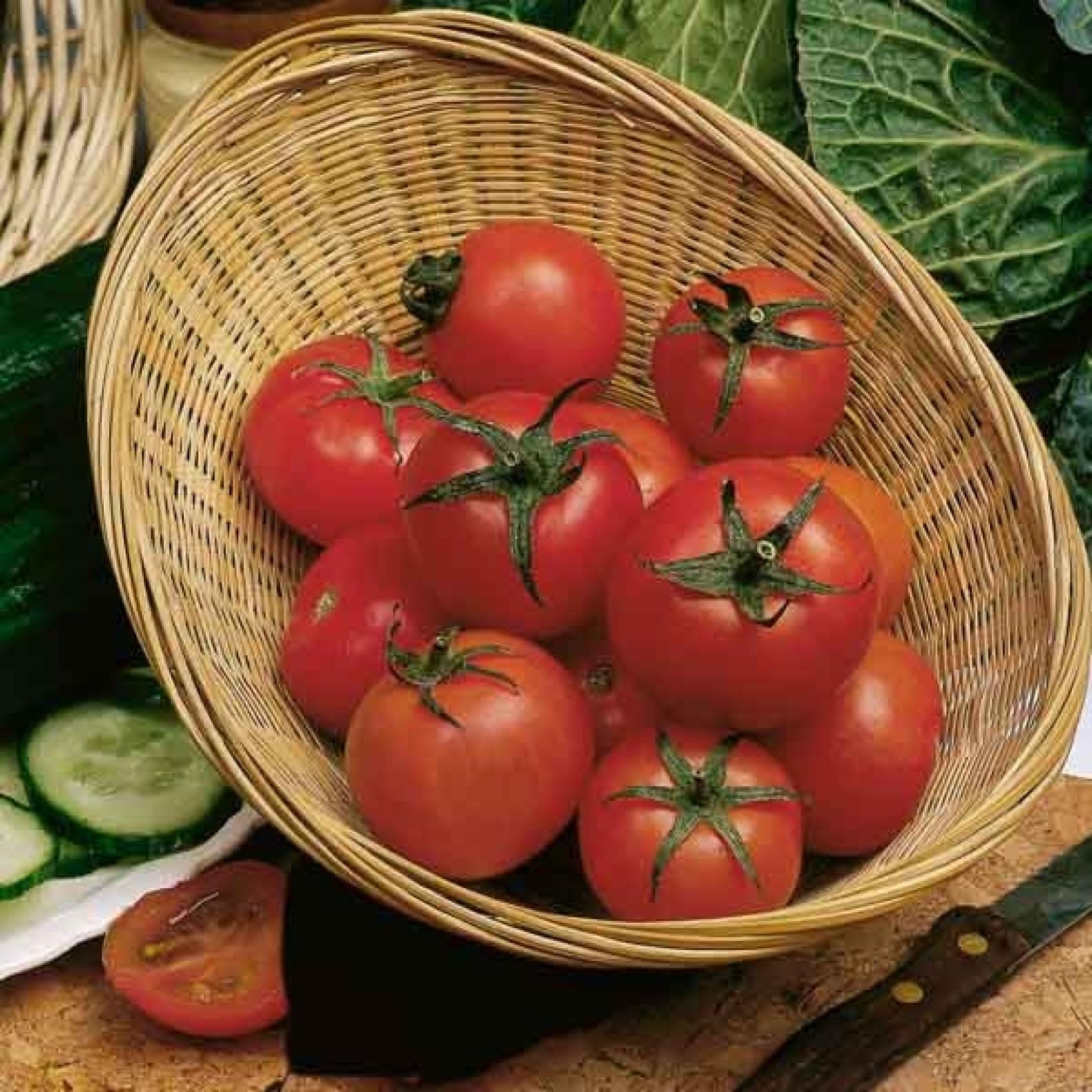 Tomate Tamina. Une tomate précoce, très savoureuse et d'un excellent ...