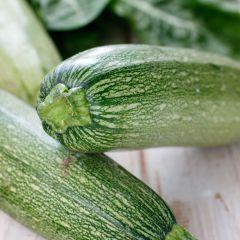 La courgette : semis, plantation, culture - Conseils potager