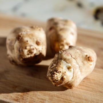 Promesse de Fleurs, plantes de jardin de qualité depuis 1950