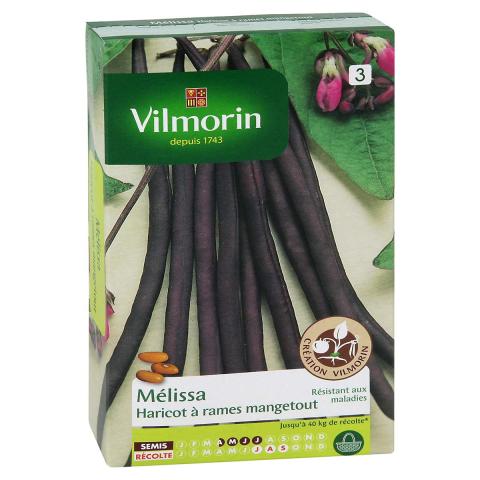 Haricot à rames Melissa - Graines Vilmorin - Une excellente variété ...
