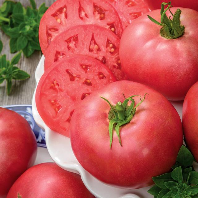 Tomate Rose Crush - Plants potager BIO - Variété à gros fruits roses ...