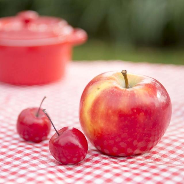 Malus transitoria Appletini (Gulliver) - Pommier ornemental à fruits ...