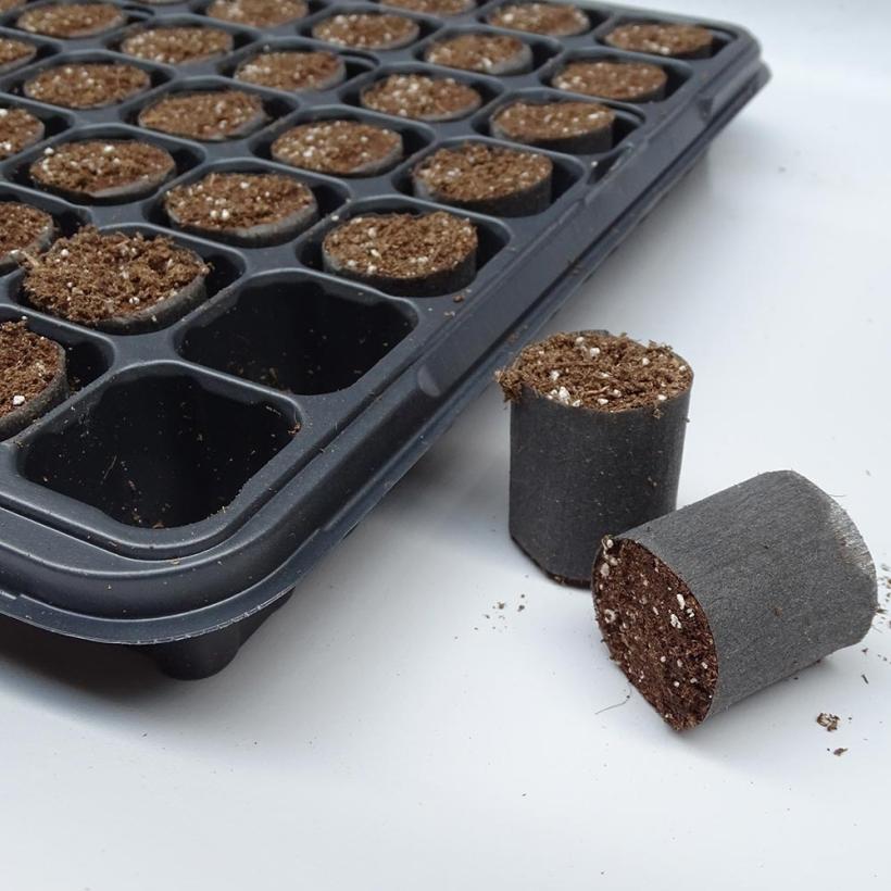 Motte Fertiss de Ferti vendue seule - différentes dimensions disponibles